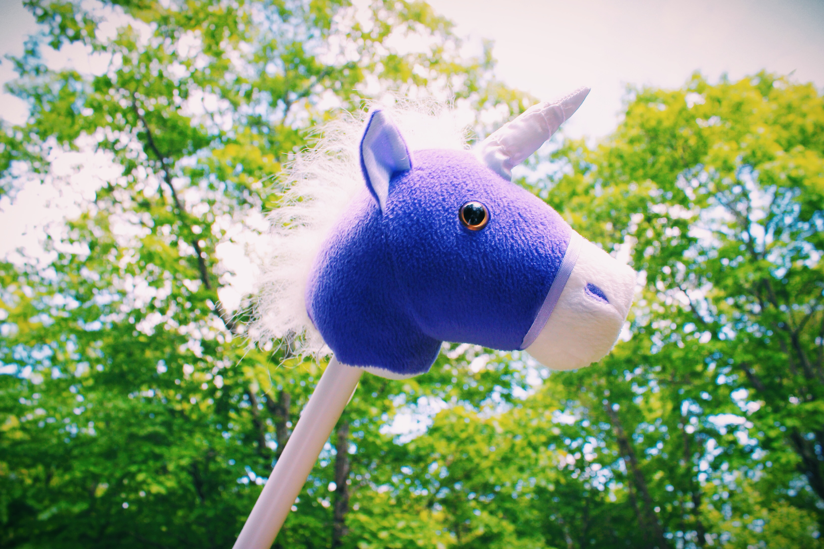 OSOCO · De Unicornios, Lemmings y Burros